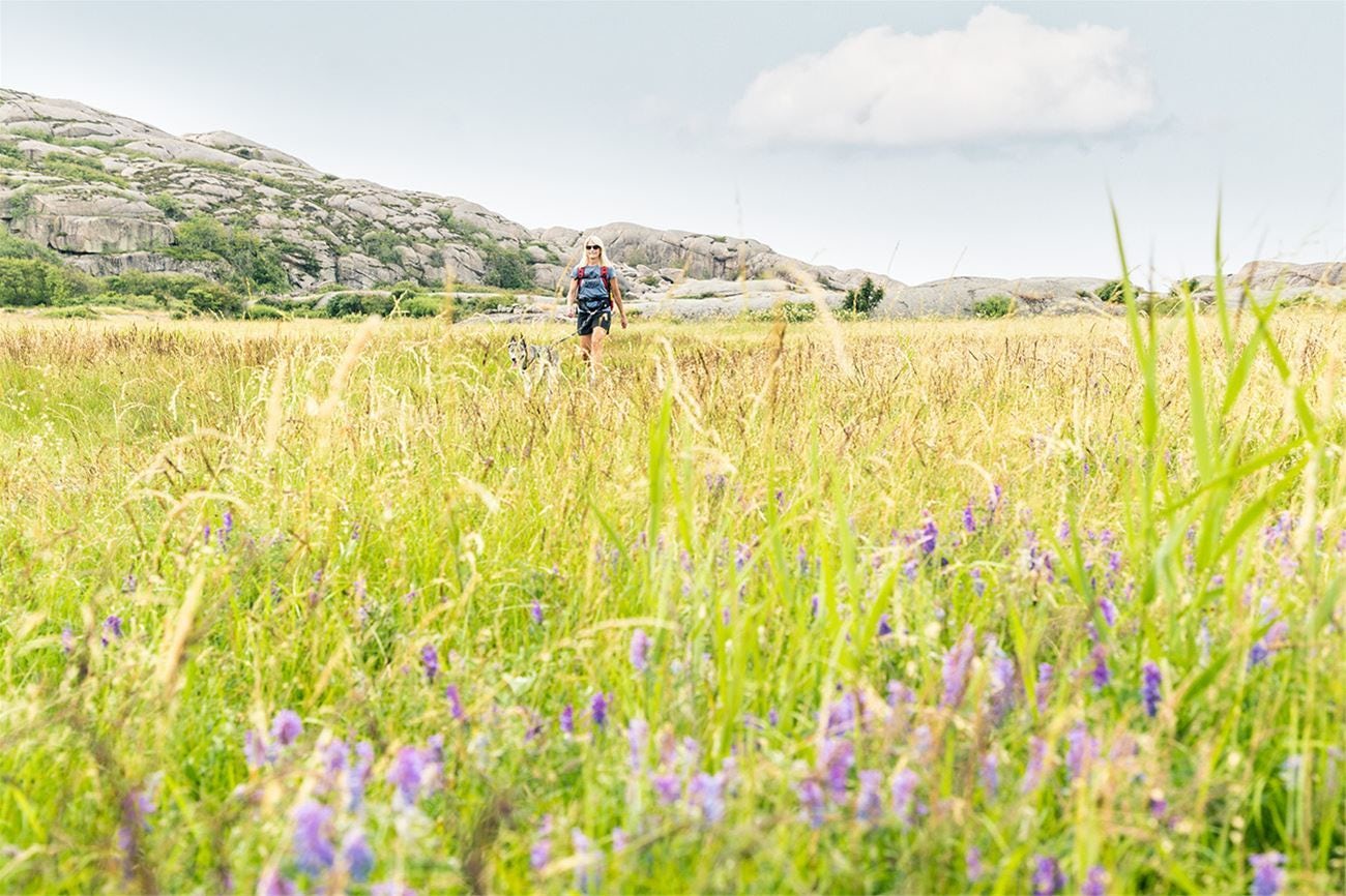 STF Villa Bro - Swedish Tourist Association